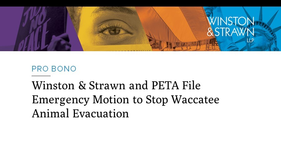 Winston & Strawn and PETA File Emergency Motion to Stop Waccatee Animal ...